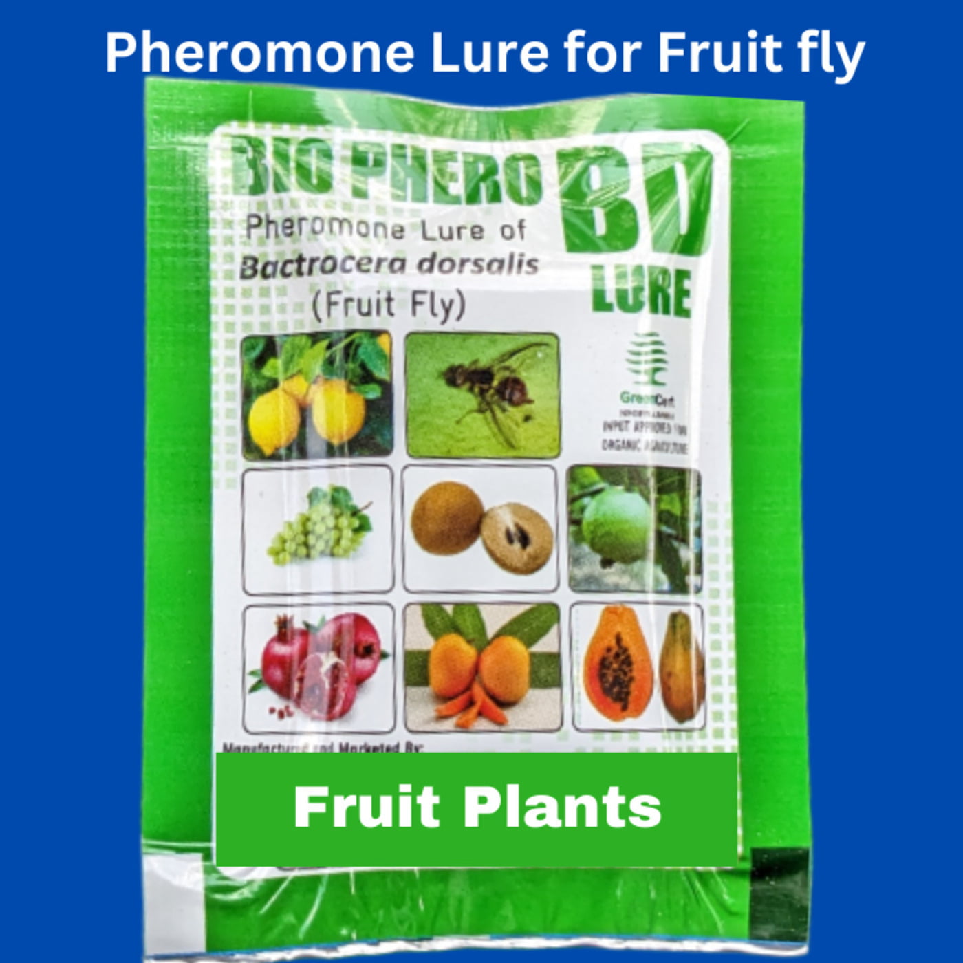 Pheromone attractant Lure (Fruit Fly- Bactocera dorcalis) occurs in ...